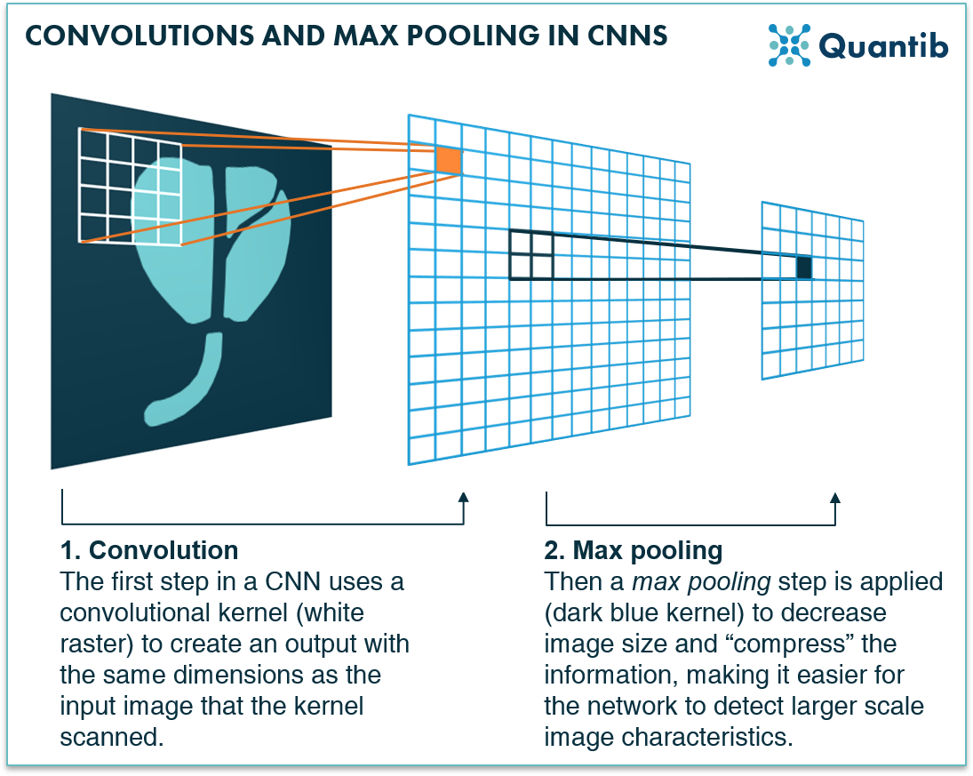 Deep Learning Radiology The Secret Of Convolutional Neural Networks